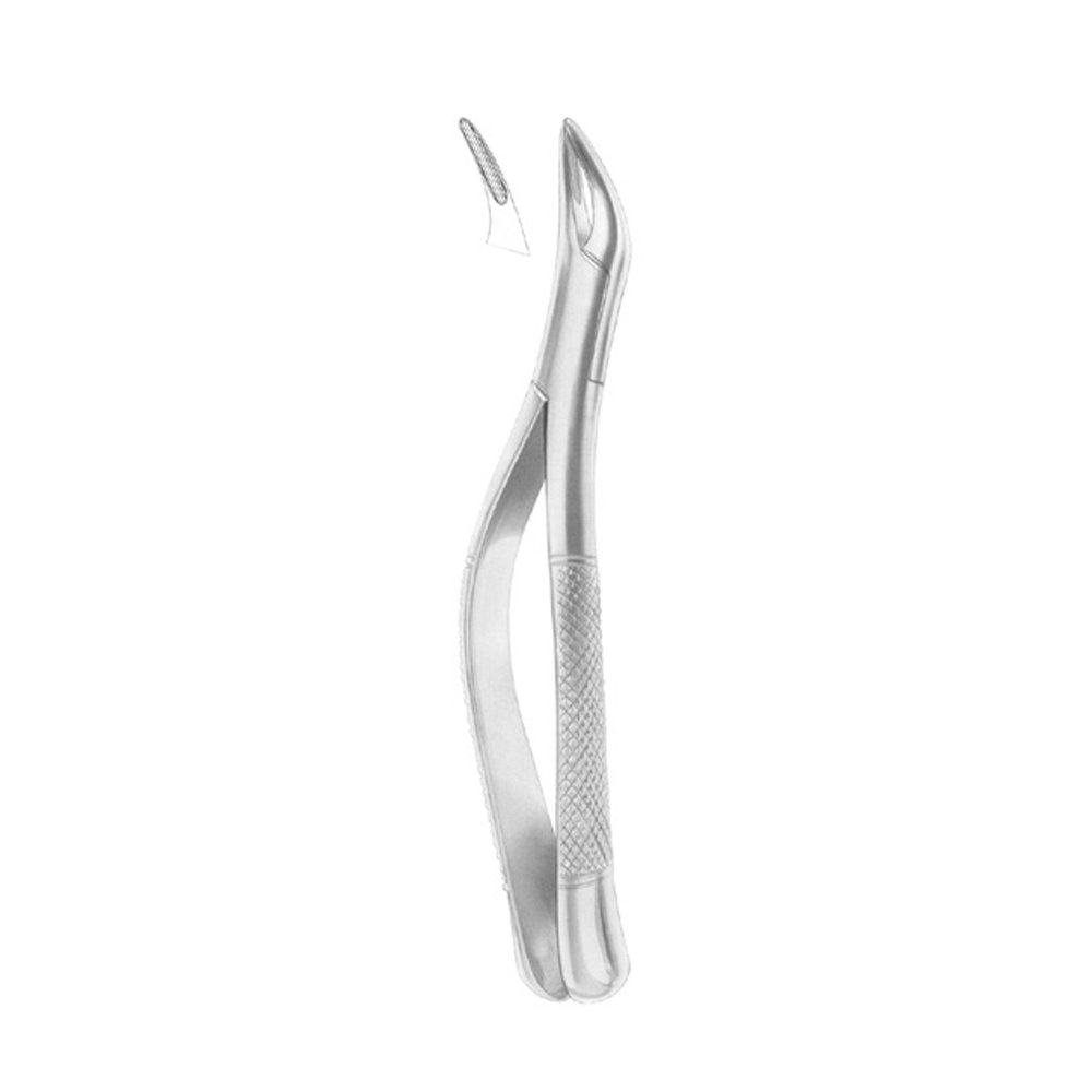 TOMES Fig. 69 Upper And Lower Roots – Light Galaxy Intl